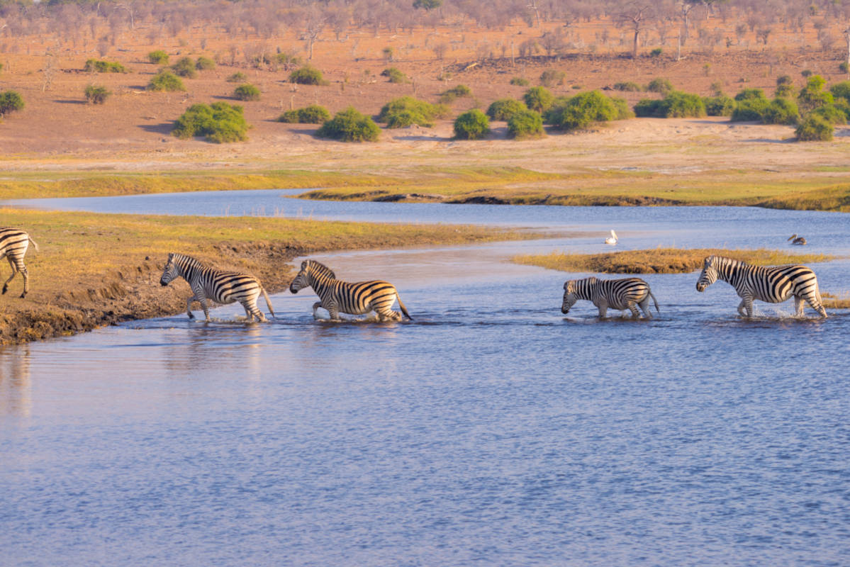 Découverte du fascinant lac Natron en Tanzanie – La Croix Longue